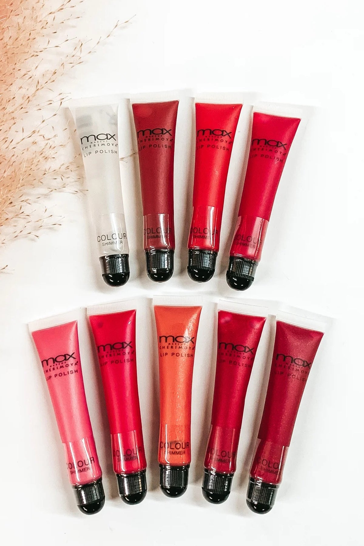 MAX CHERIMOYA ASSORTED COLOUR LIP POLISH – MYS Wholesale